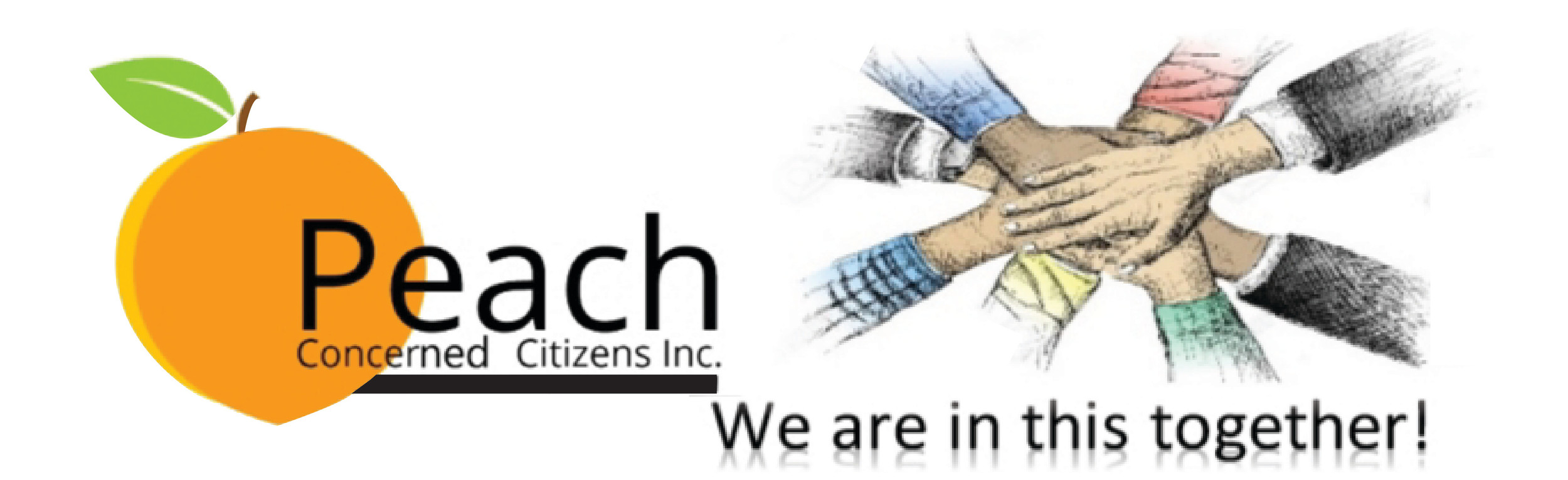 Nonprofit Organization | Peach Concerned Citizens | United States