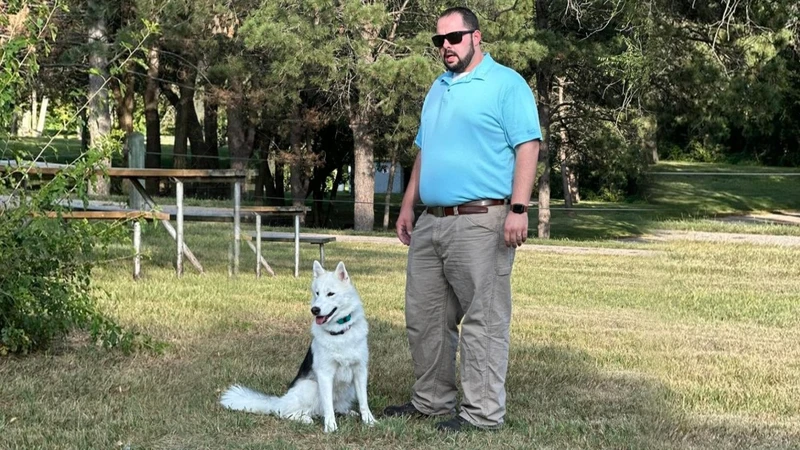 DIY Online Courses | Happy Howlin’