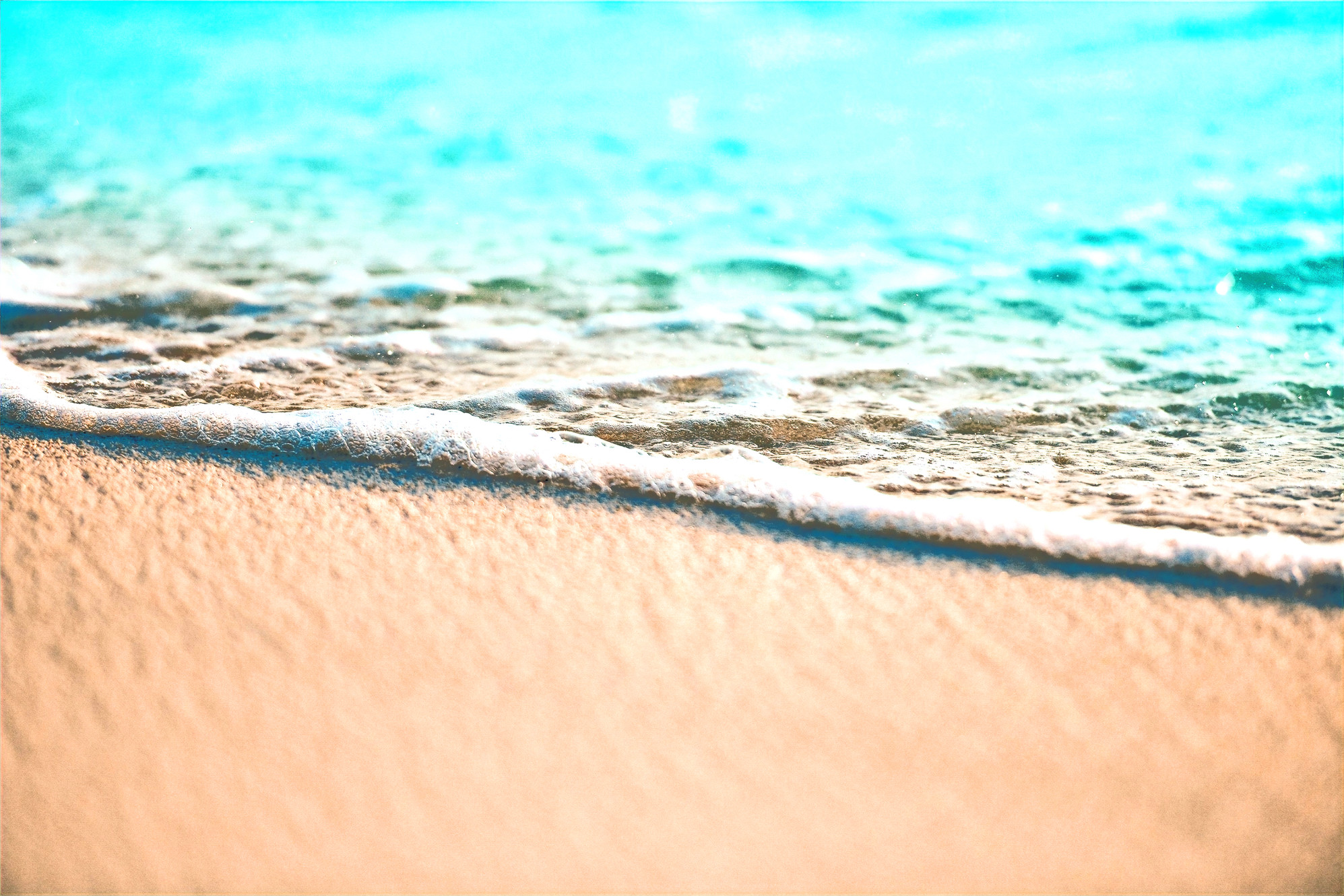 Partners | Lexie Bebbington