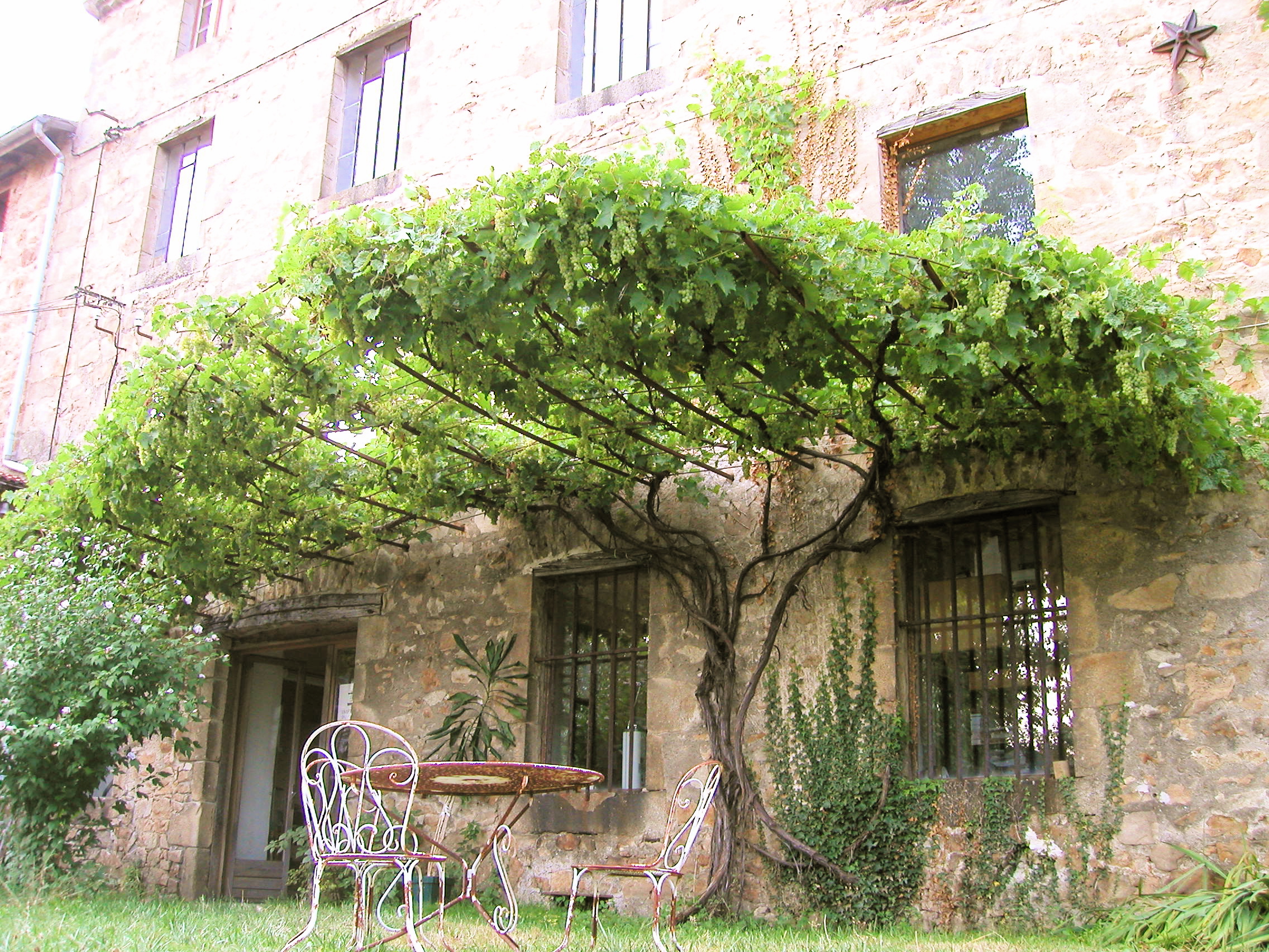 Francis Beninca tonnelle treille pergola sculpture végétale jardin