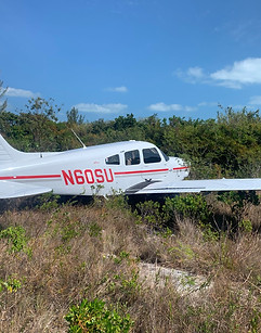 News and Events | AAIA