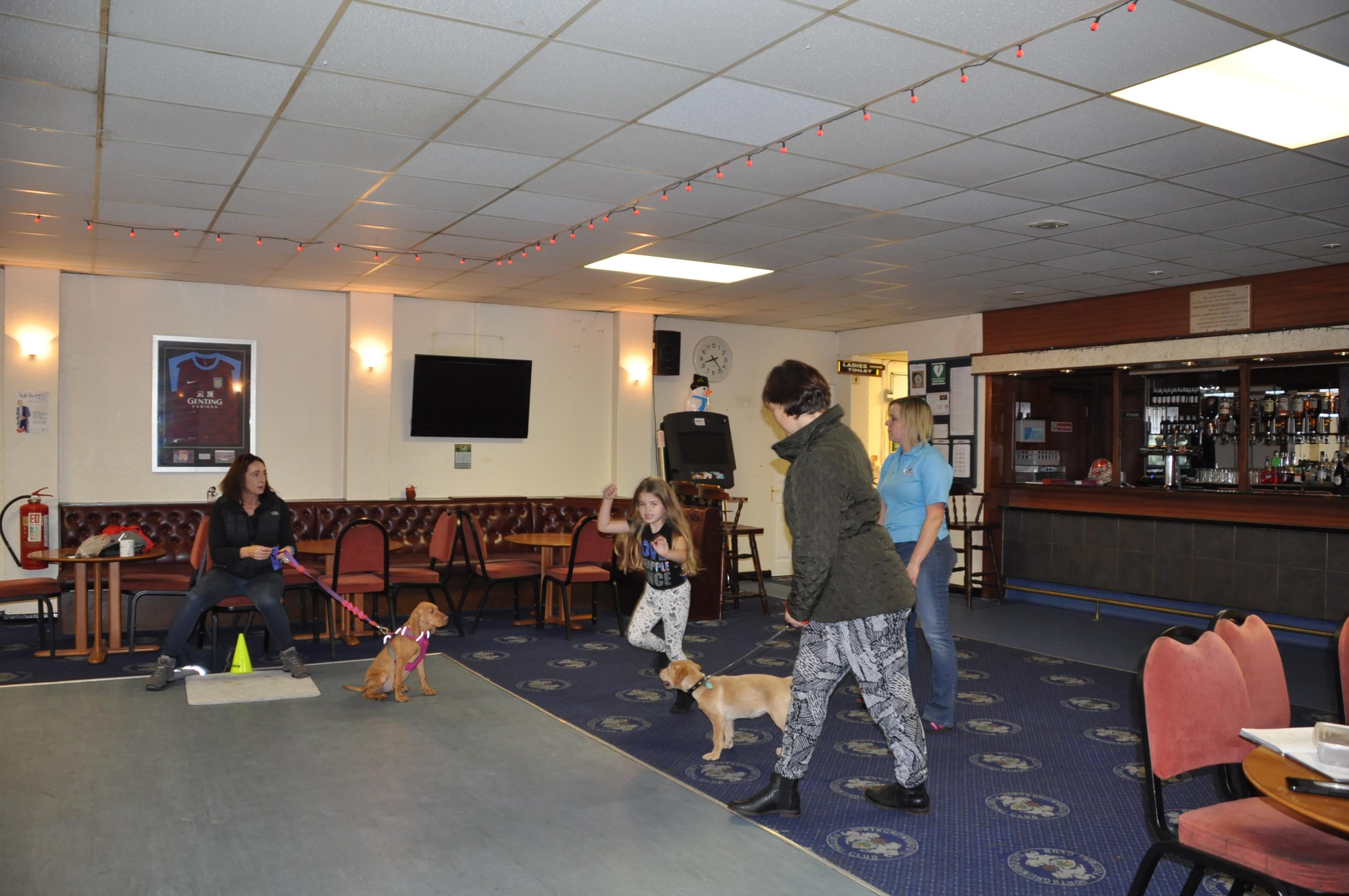Dog Training Puppy Classes London Ealing Greenford Harrow Hillingdon