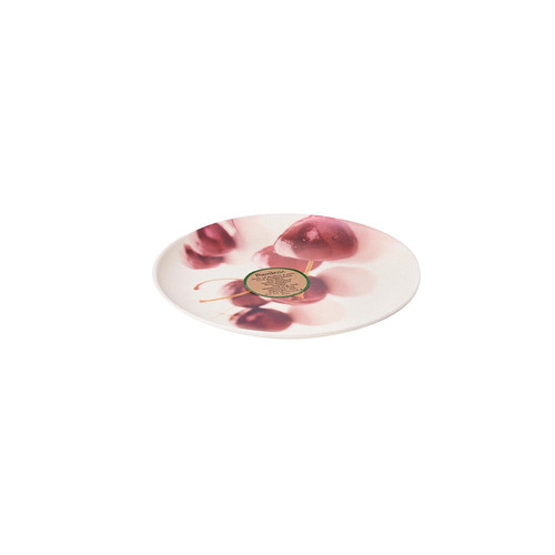 8 inch Round Plate (Cherry) | Able Pack