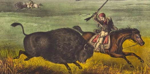 The Great Fall Hunt of the buffalo is depicted in which thousands of ...