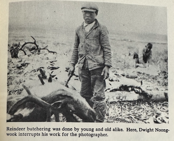 An Inuit woman describes how the reindeer were used on the island of St ...