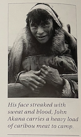 We lacked fat. The spring caribou were thin after their long migration ...