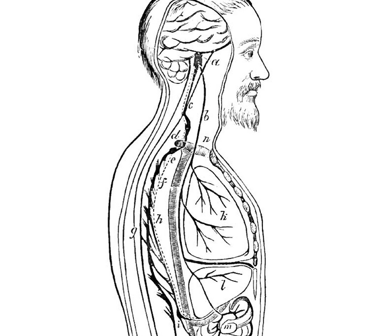 The disease of diabetes is described by Dr Tyson, who suggests that it ...