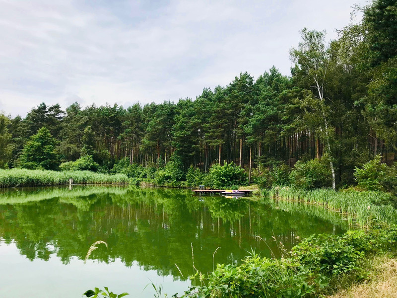Forest Cabin | Patoki. Dom i las.