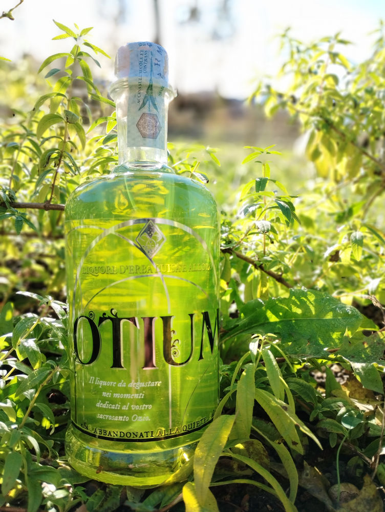 OTIUM - Liquore d'Erba Luisa e Alloro 100% Made in Dolomiti | Barfuturo