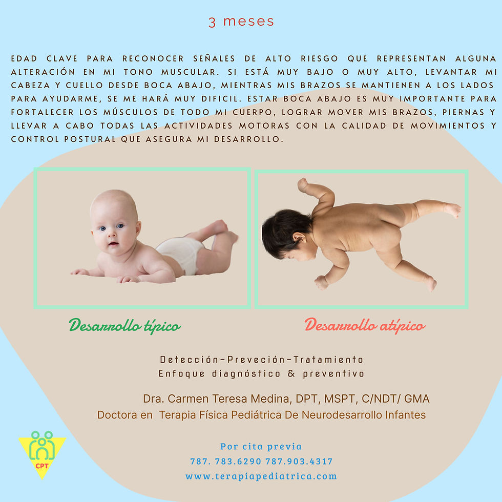 3 meses desarrollo tipico vs atipico boca a bajo