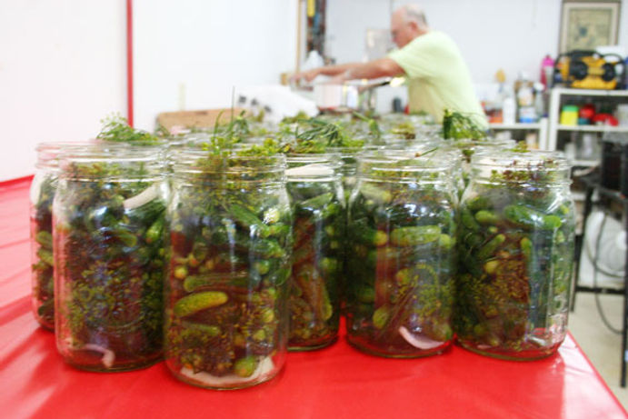 Photo Gallery: Pickles!