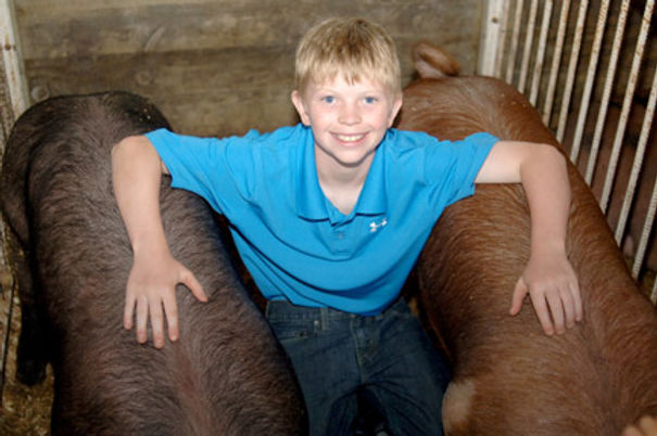 My Perspective: Two pigs join Palmer family