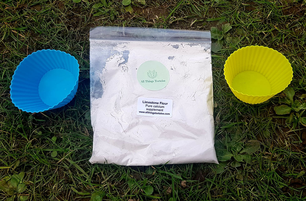 Calcium "cake" Kit | All Things Tortoise