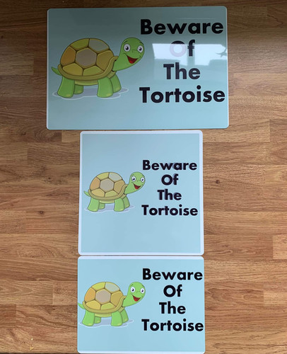 Beware of the tortoise sign | All Things Tortoise