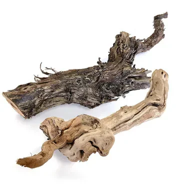 HabiStat Grapevine | All Things Tortoise