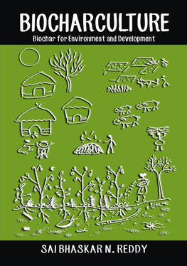 Books | Biochar Education