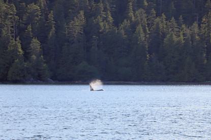 Victory Cove Seaside Cottages, Northern British Columbia
