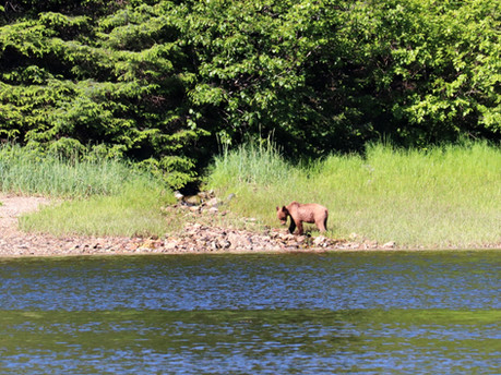 Victory Cove Seaside Cottages, Northern British Columbia