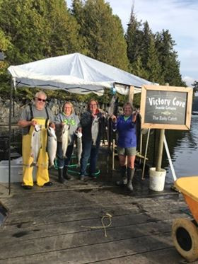 GUEST GALLERY | victorycove