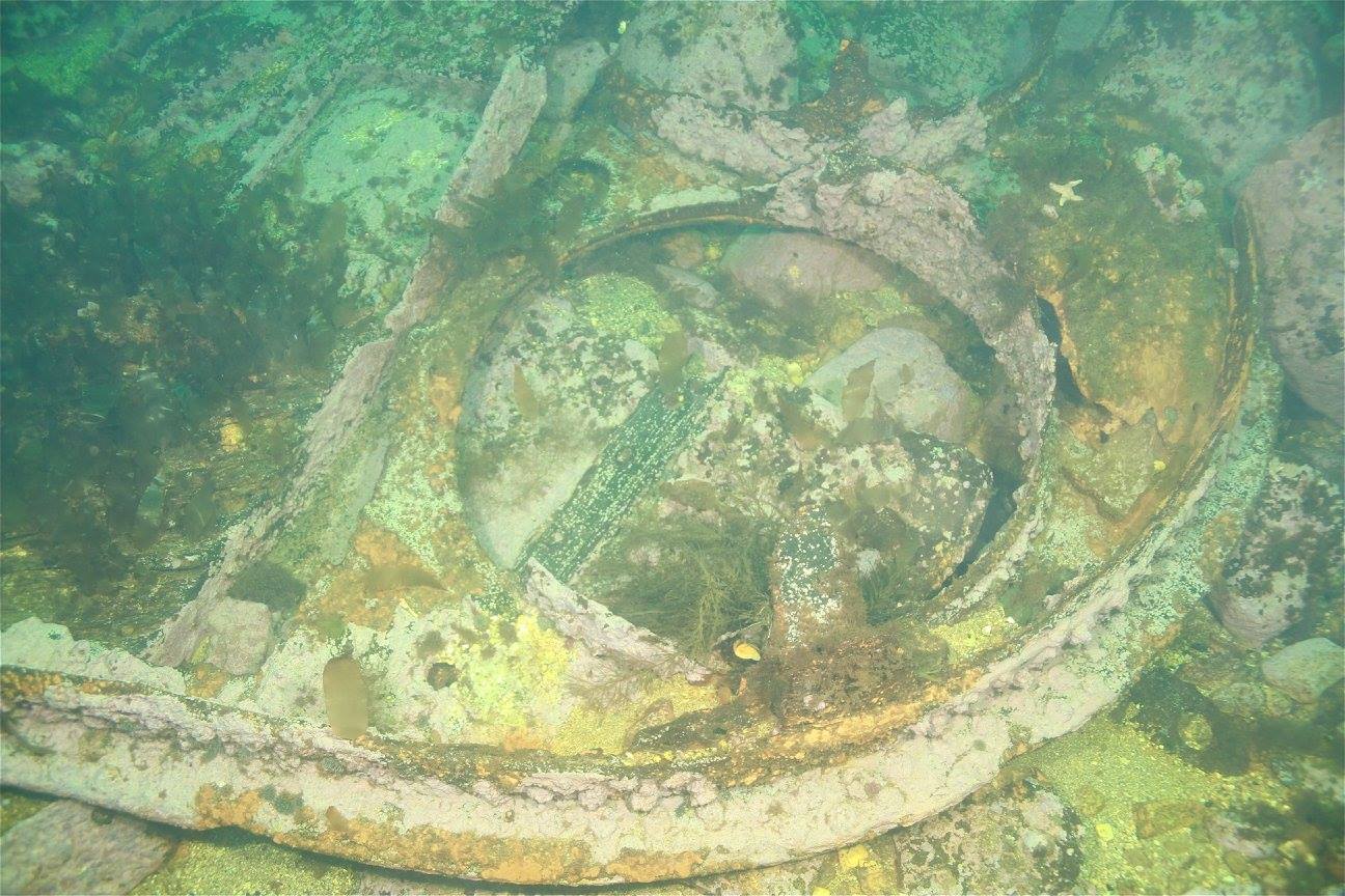 SS Atlantic Wreck | East Coast Scuba & Watersports