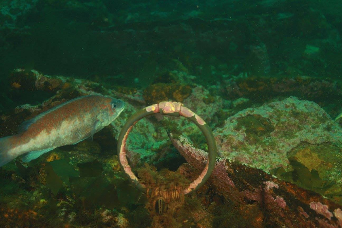 SS Atlantic Wreck | East Coast Scuba & Watersports