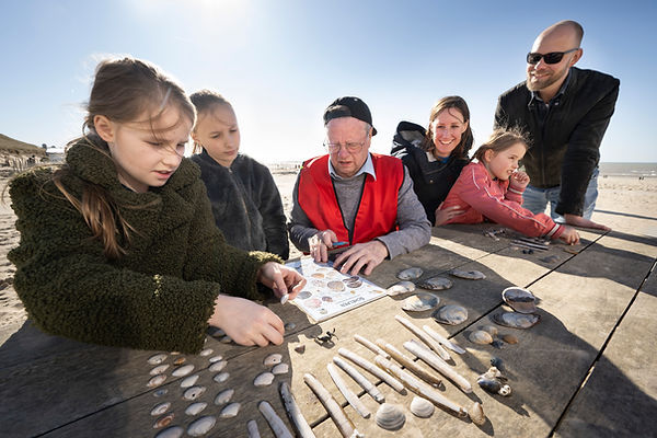 Vrijwilliger worden | Schelpentelling