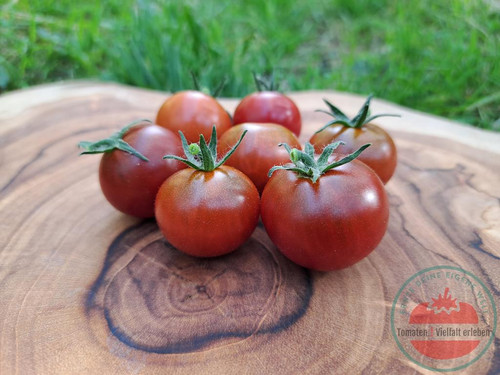 Tomaten Unvertraglichkeit Darm
