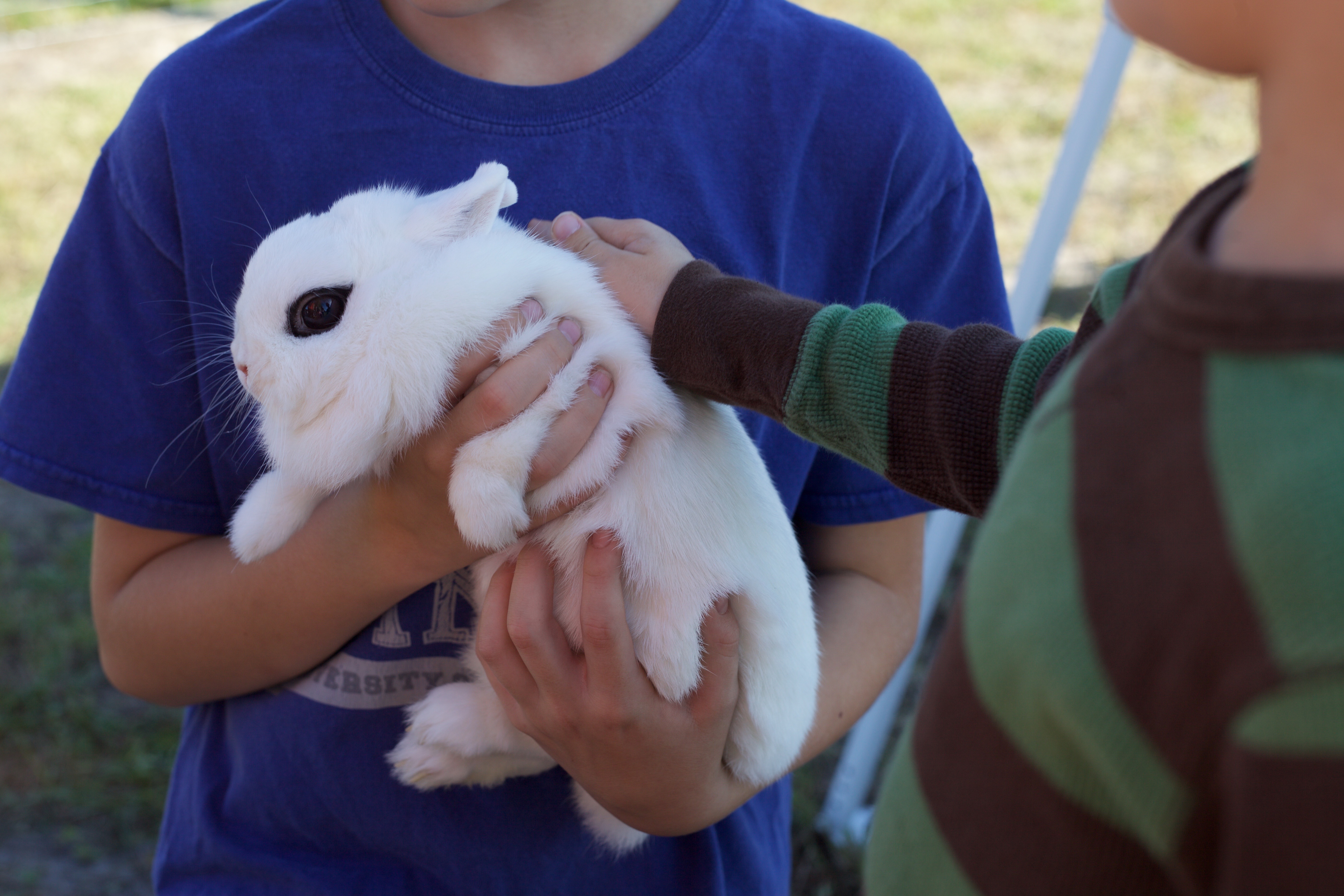 Academy at the Farm 4H