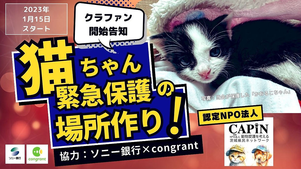 お知らせ | CAPIN【公式Webサイト】