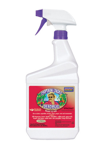 Captain Jacks Deadbug Brew - 16 oz Spray Bottle | GHViolets