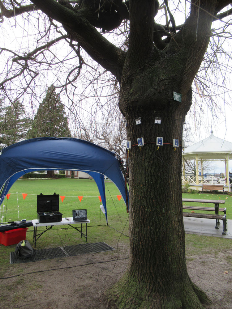 PiCUS Sonic Tomograph (Victoria Park, Rangiora)