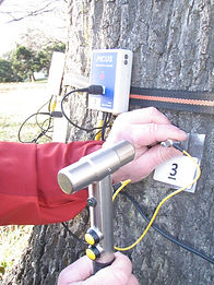 Arboricultural Equipment | Purearb Tree Assessors NZ