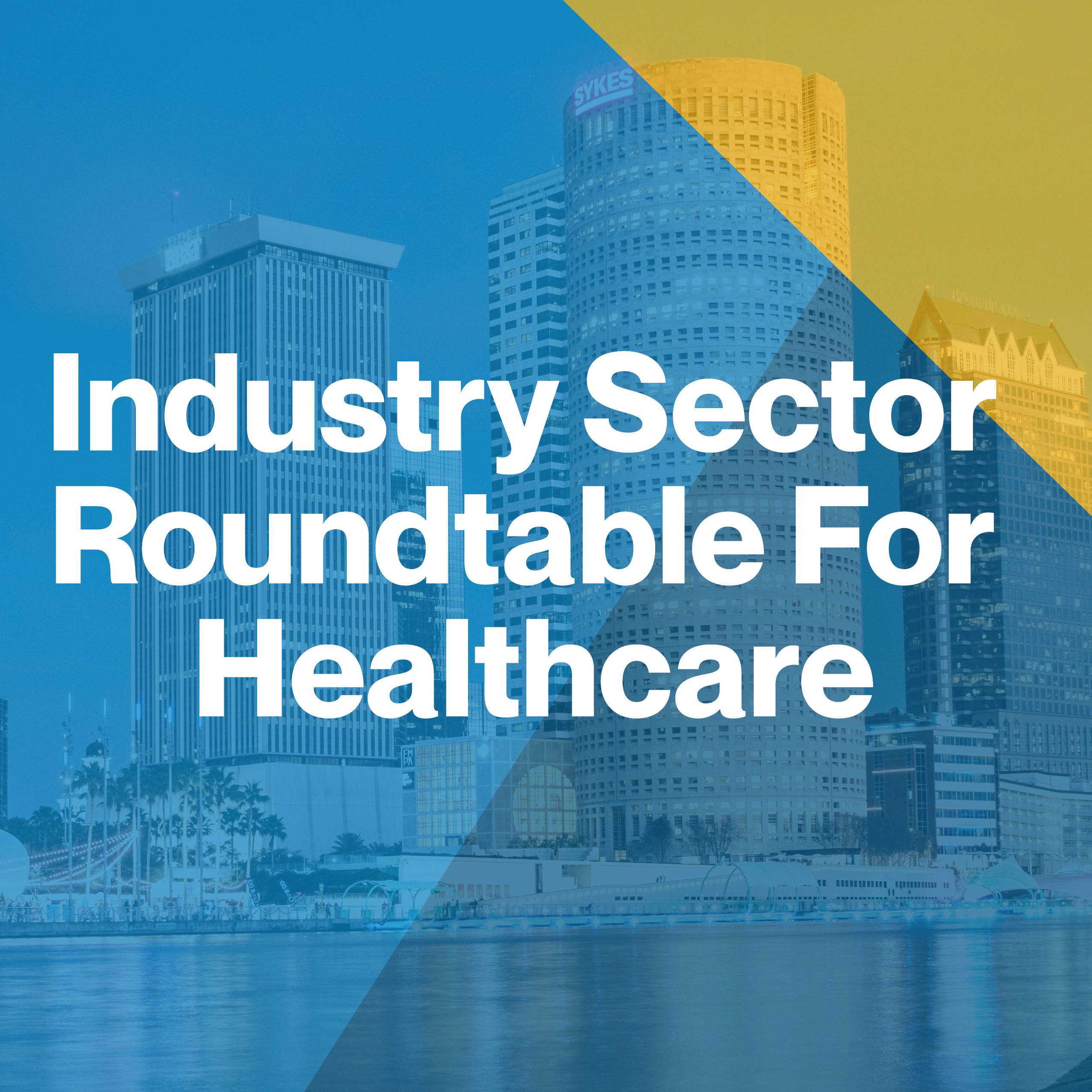 Industry Sector Roundtables: Healthcare | CDC OF TAMPA