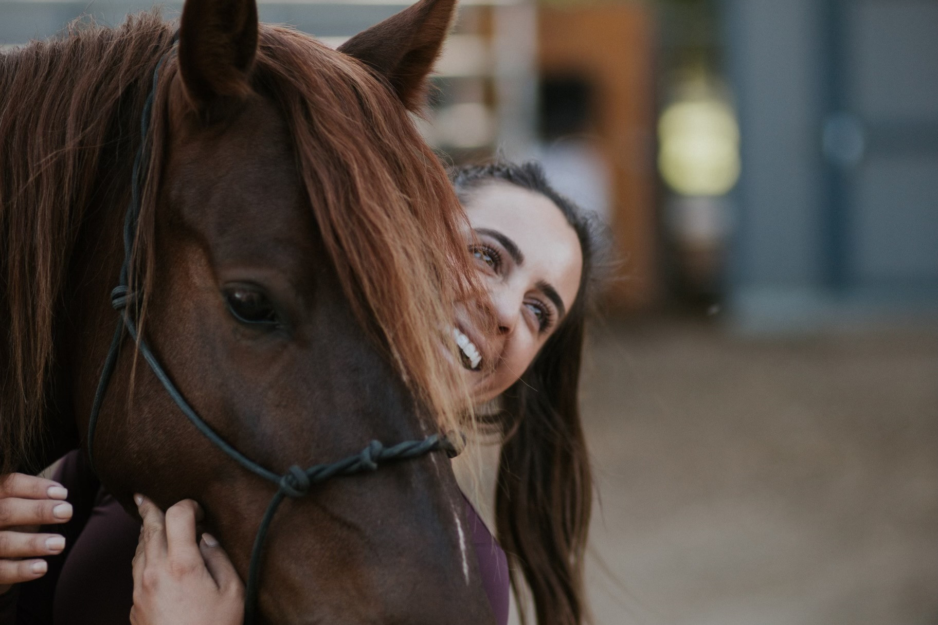 Way Out West Equine Rescue | Peacock Hill Equestrian Center