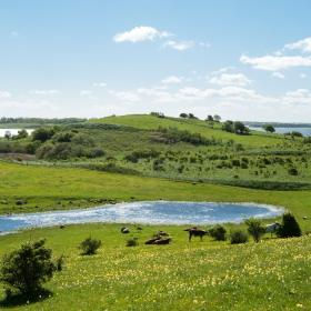 FYNS HOVED | Minhjemmeside