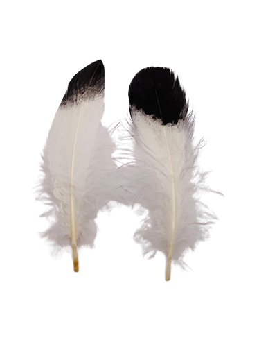 Fluffs Hand Painted Eagle Feathers (Imitation) 2 Pack ...