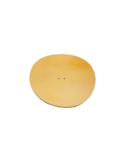 Melon Shell | BuffaloTipiTradingPt