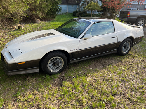 1983 Pontiac Trans am Daytona /SOLD | Driven By Desire Cla