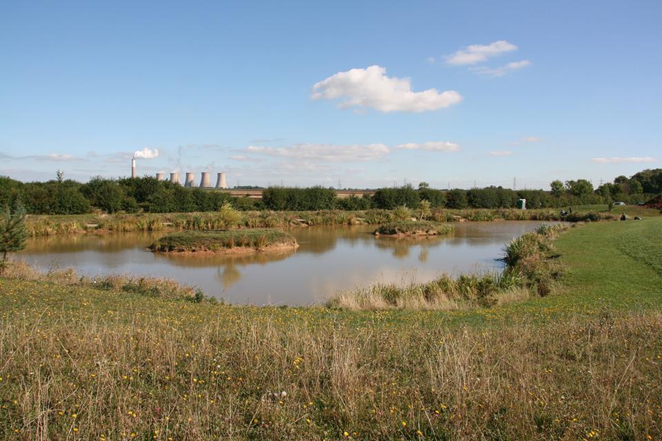 foxcovert fisheries
