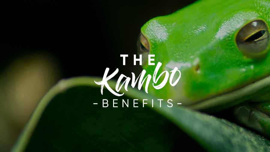 The Benefits of Kambo