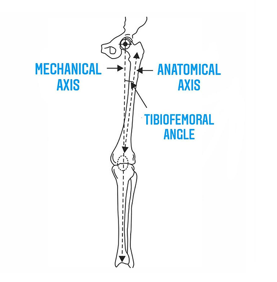 mechanical axis view x ray