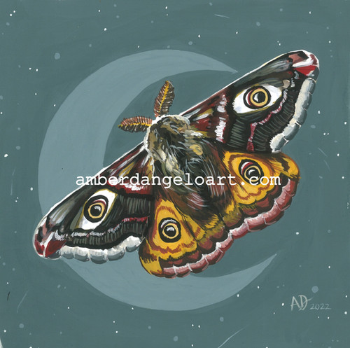 Emperor moth- ART PRINT | Amberdangeloart