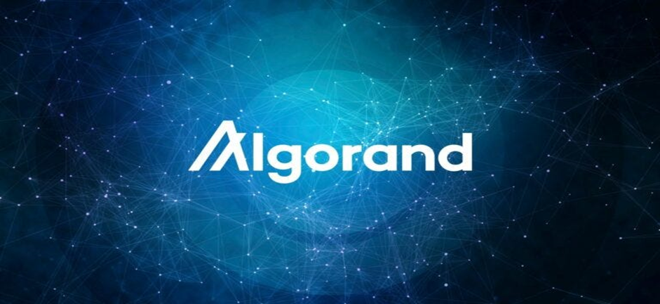 Why Algorand can be top 10 coin in 2024