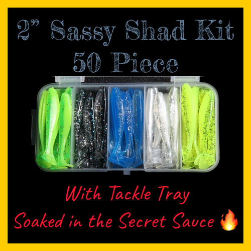 Sassy Shad Kit 50 Piece 2” Bodies With Tackle Tray | Upper Deck Fishing