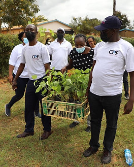 Our Focus | CPF Foundation