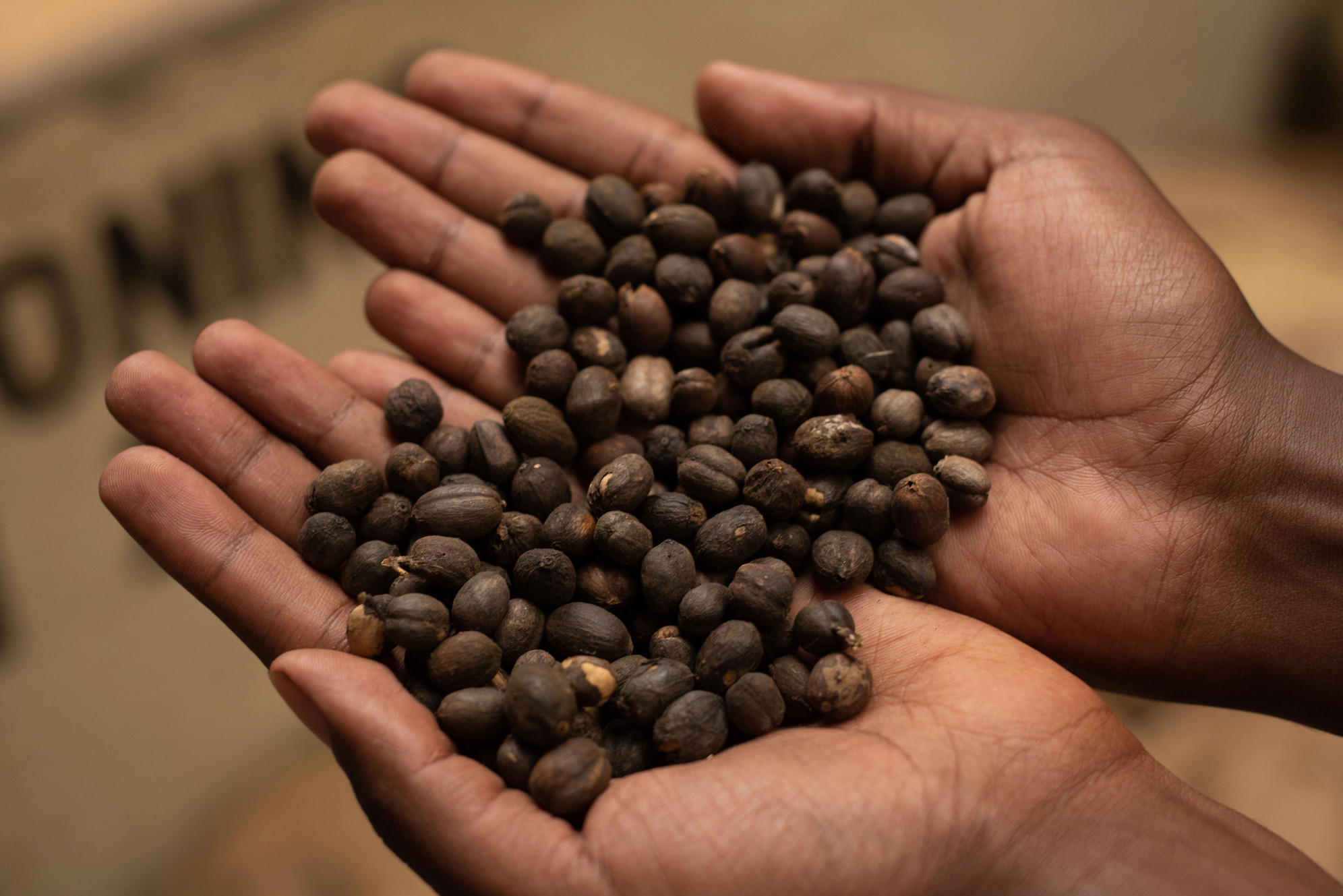 Endebess Coffee Estate | Quality coffee producer in Kenya | Endebess, Kenya