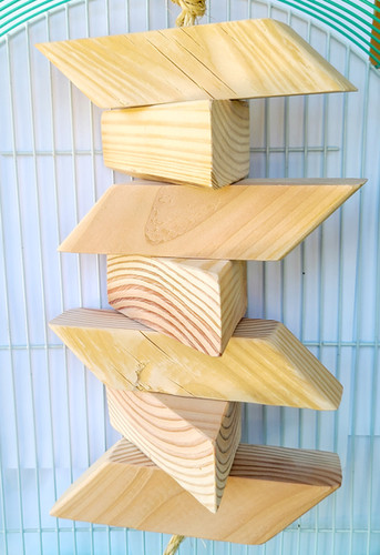 Block Party | Orange Feather Aviary