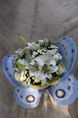 Blue Adonis | Casafleur