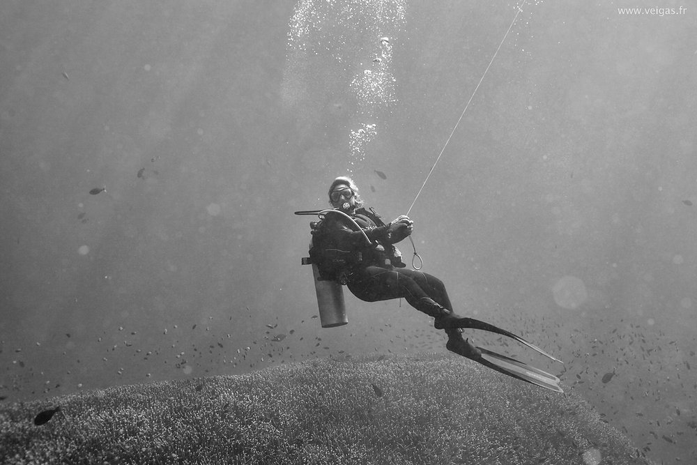 Why and how to use an SMB when diving?