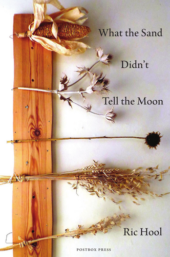What The Sand Didn't Tell The Moon | Ric Hool | Red Squirrel Press
